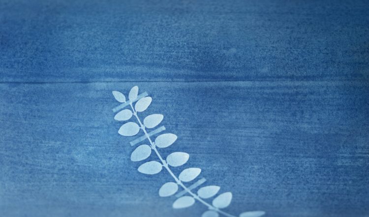 Blueware Vases - DDA