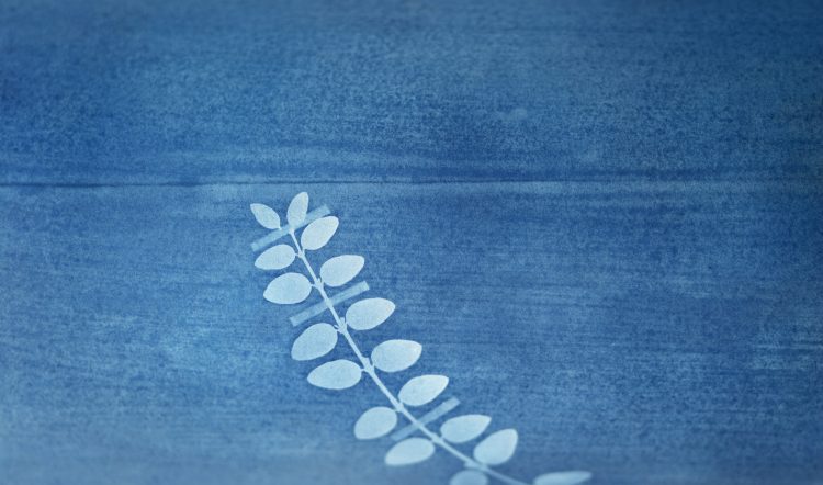 Blueware Vases - DDA