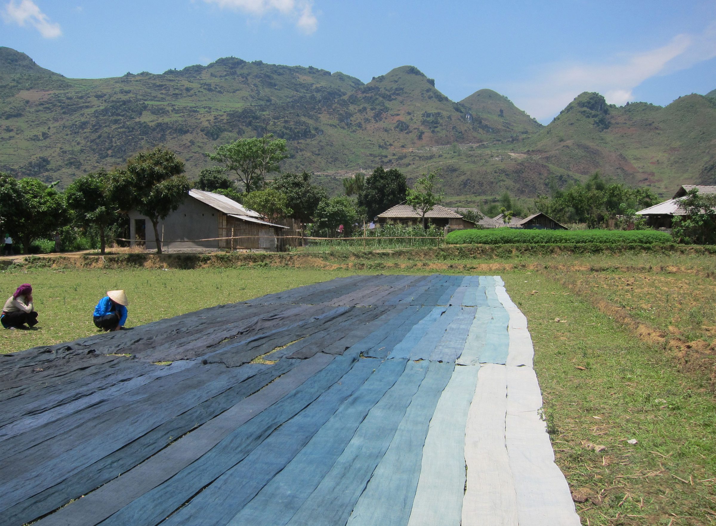 Indigo Cascade - DDA