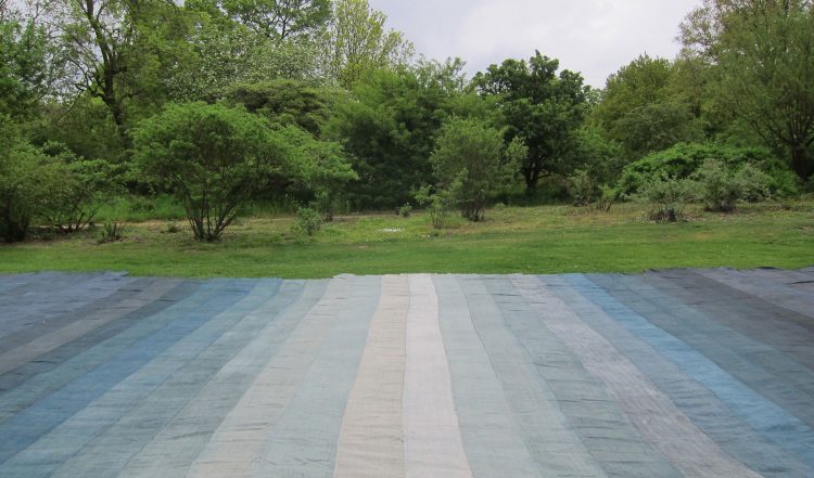 Indigo Cascade - DDA