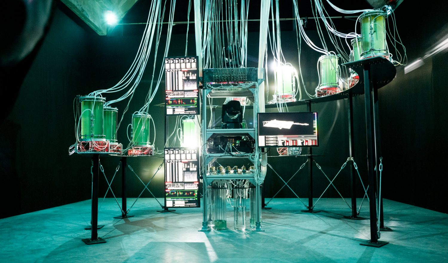 Column | Ouroboros - DDA