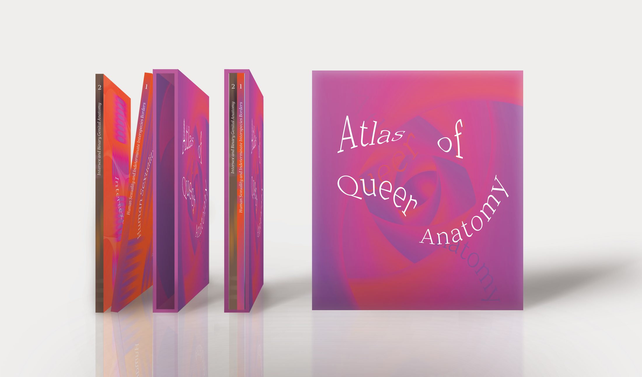 ATLAS OF QUEER ANATOMY - DDA