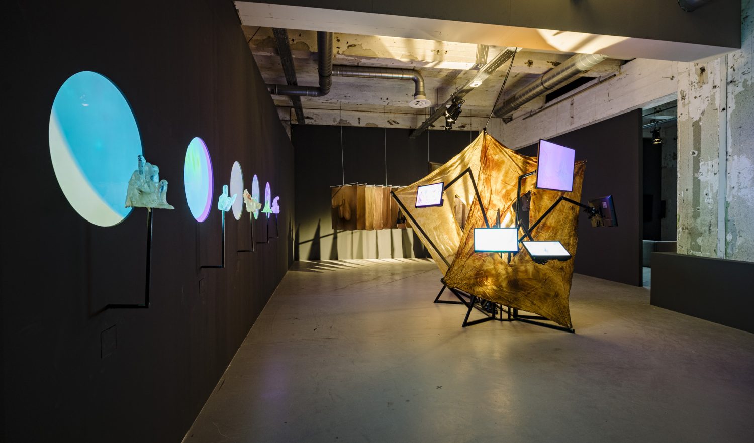 ATLAS OF QUEER ANATOMY - DDA